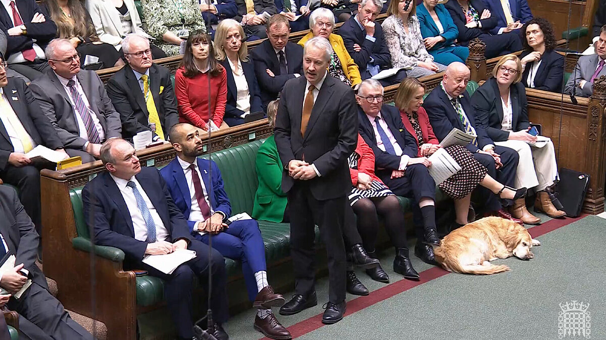 Gideon Amos raises Nottingham stabbings at Prime Minister's Questions ...